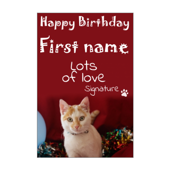 Birthday Card Cat free printable template or send online