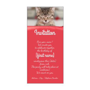 Birthday invitation Cat free printable template or send online