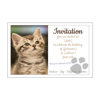 Birthday invitation Cat free printable template or send online